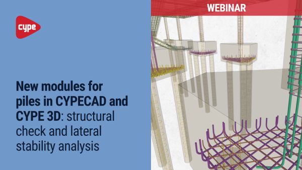 New modules for piles in CYPECAD and CYPE 3D: structural check and lateral stability analysis ...