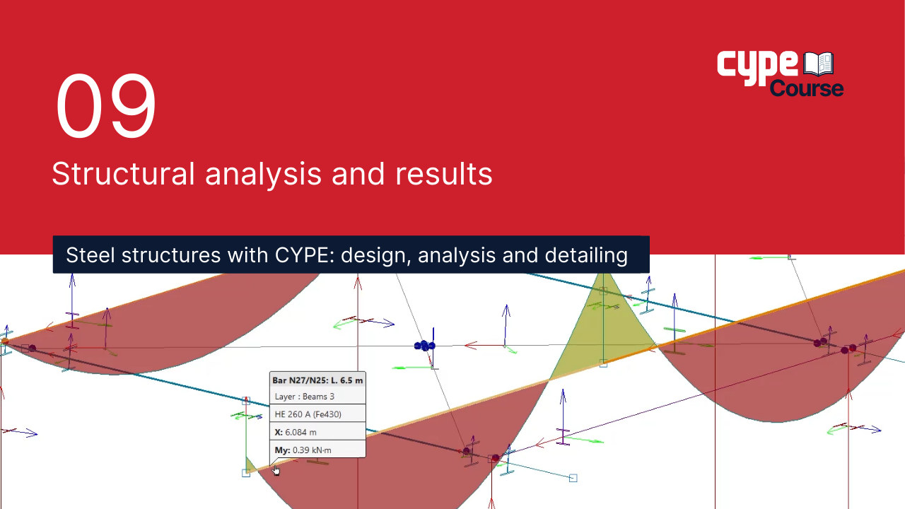 9 - Structural analysis and results | CYPE Steel Structures